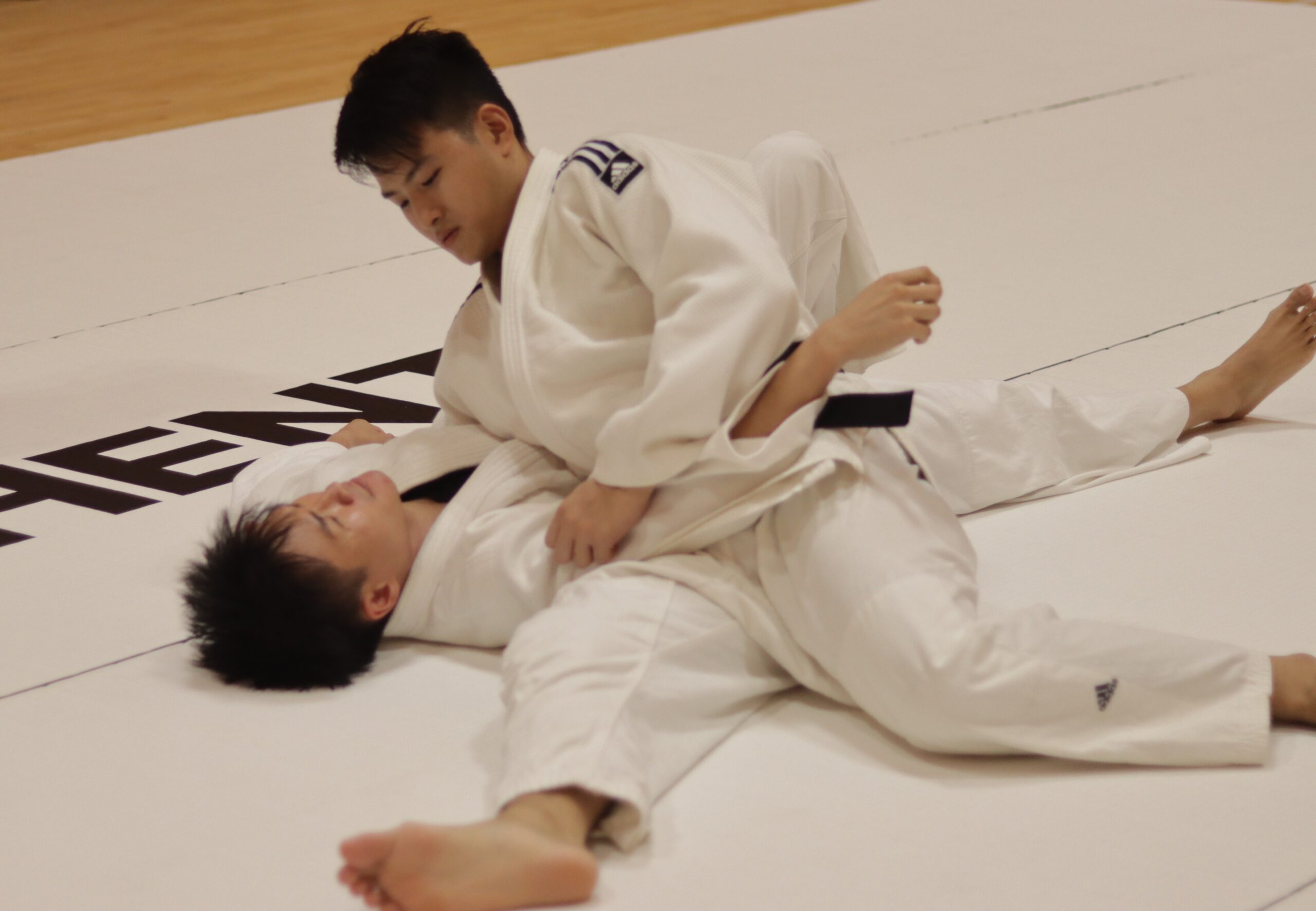 Offerings – Authentic Ippon